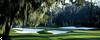 Isleworth Country Club - Course Profile | Course Database