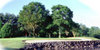 Bermuda Run Country Club - East Course - Course Profile | Course Database