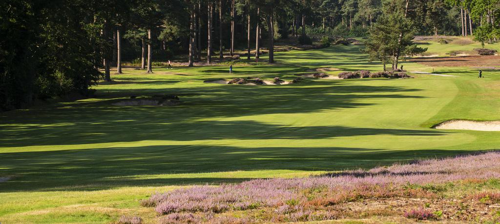 Heath Challenge by Lockstone of London - Tournament Information Page ...