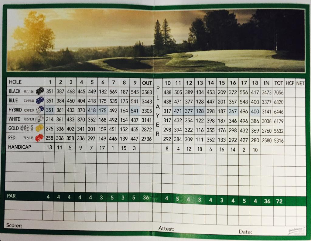Wild Bluff Golf Course - Course Profile | Course Database