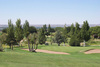 New Mexico State Golf Course - Course Profile | Course Database