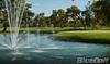 Phoenix Country Club - Course Profile | Course Database