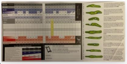 Blue Devil Golf Club - Course Profile | Course Database