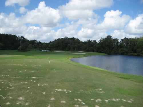 Disney’s Palm Golf Course - Hole 3 | Course Database