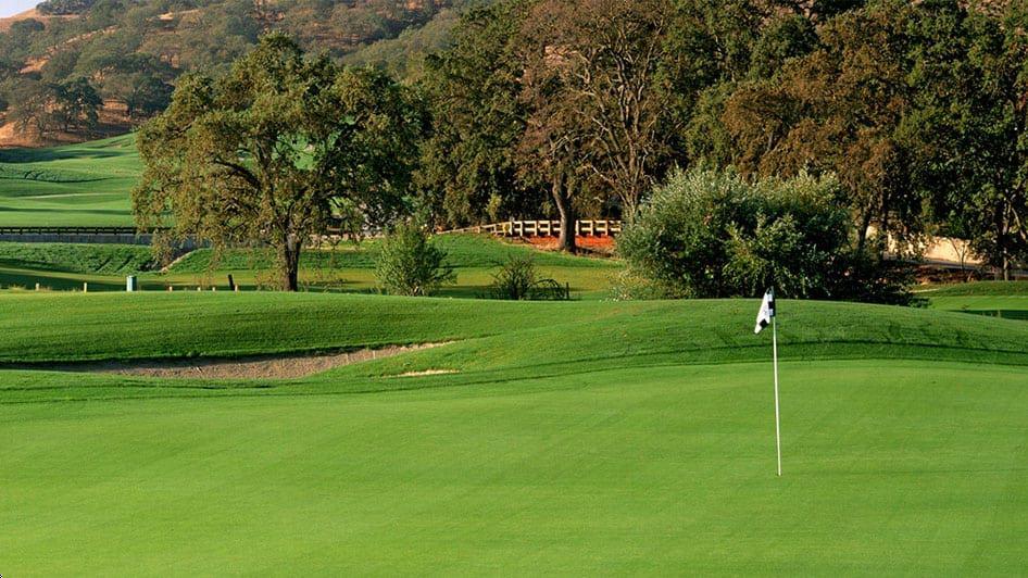 Callippe Stableford Open - Full Field Scores Leaderboard | US Am Tour