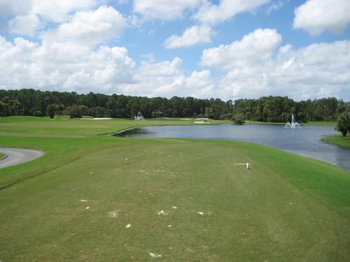 Disney’s Palm Golf Course - Hole 14 | Course Database